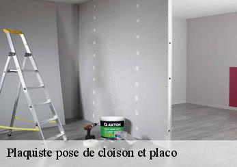 Plaquiste pose de cloison et placo 78 Yvelines tel: 01.85.53.42.50